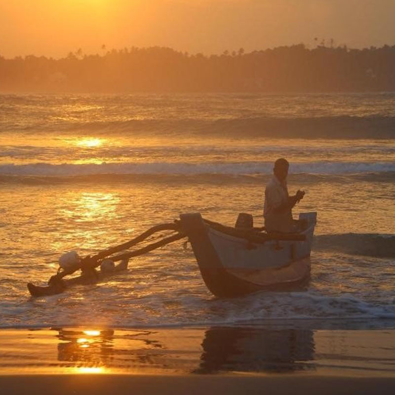 Bentota Hotels | Thaala Bentota Resort Official Site