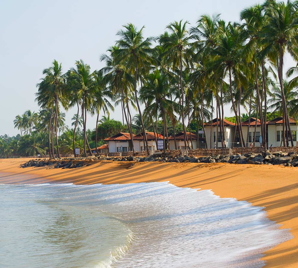 Things To Do in Negombo | Club Hotel Dolphin Sri Lanka